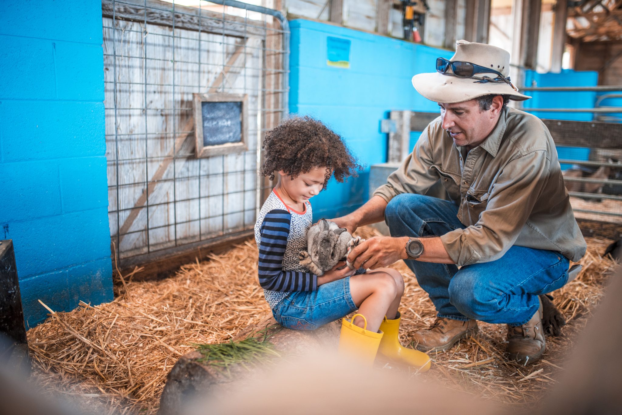 What is Agritourism? | Aruva Modular How does it look in real life ...