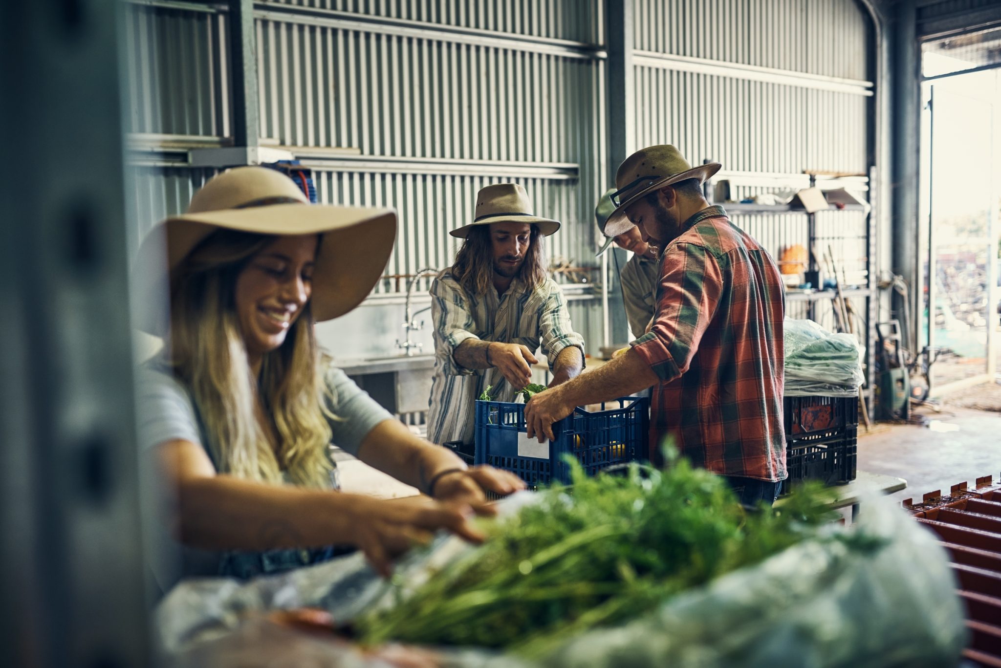 Farm Work and Backpackers: A Perfect Match